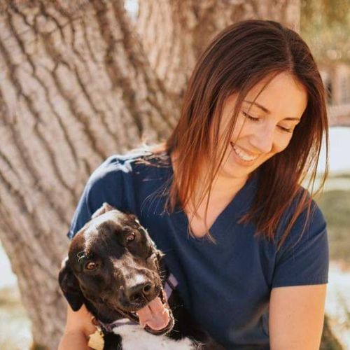 The Future of Veterinary Technicians & Their Role in Veterinary Medicine